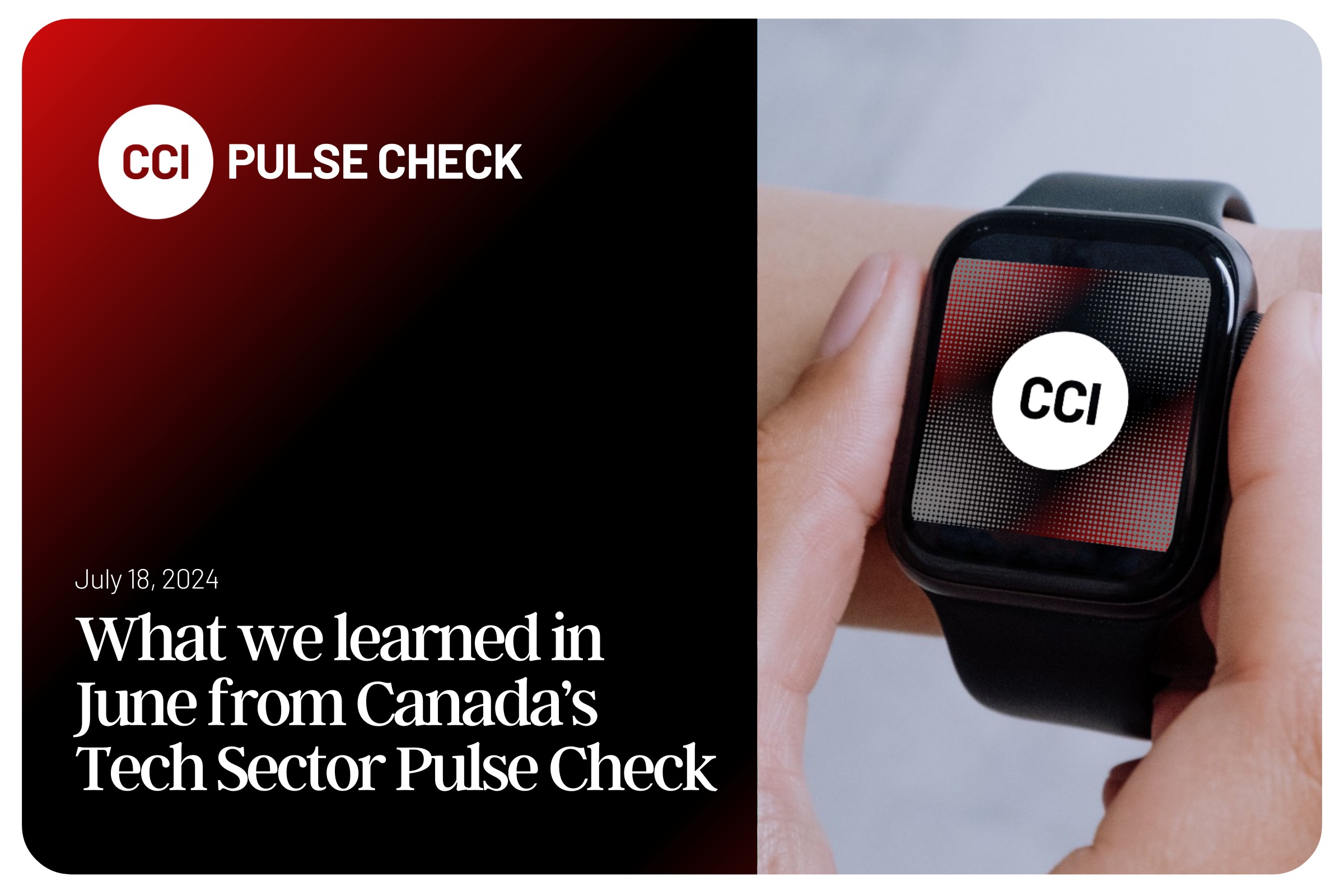 What we learned from CCI’s Tech Sector Pulse Check in June